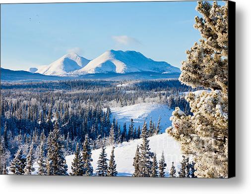 TAIGA – Travelling across time / Viajando a través del tiempo